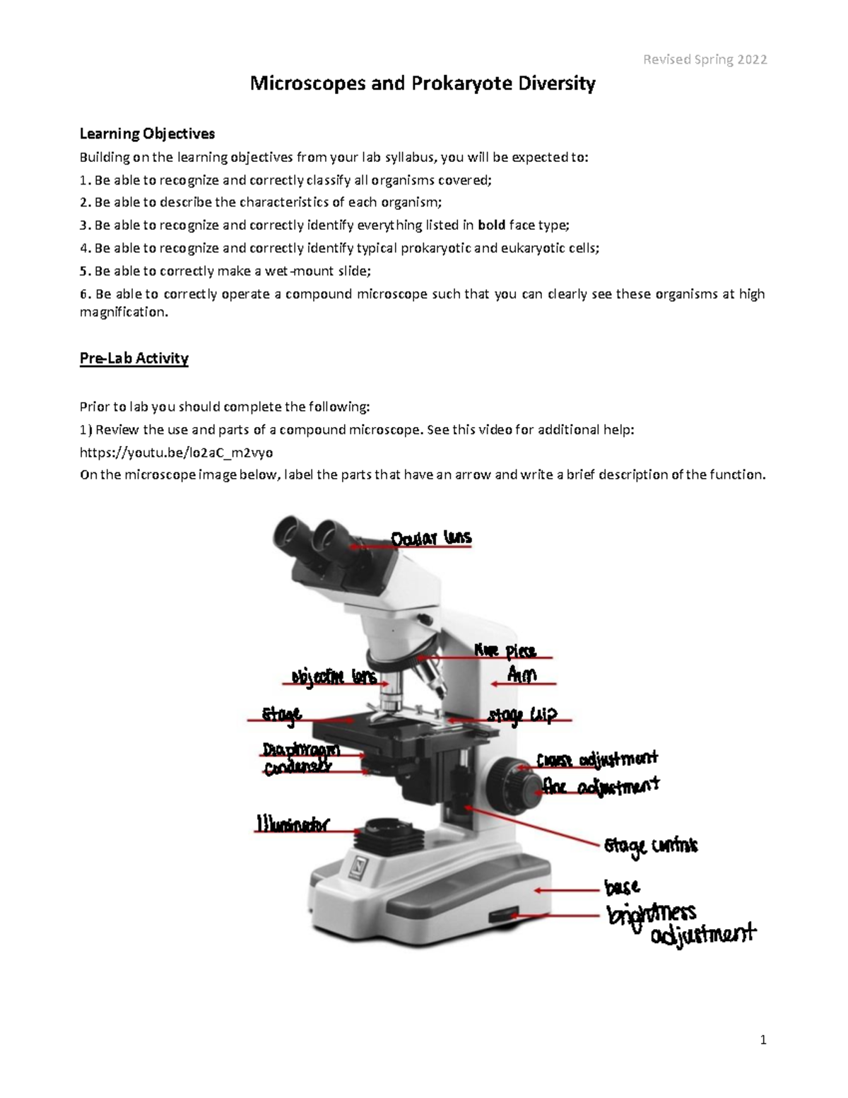 1108 Lab Microscopes and Prokaryote Diversity S22 - Microscopes and ...