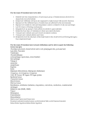 Lab 1 - Techniques of Measurement Ruler Drop - Student Instructions ...