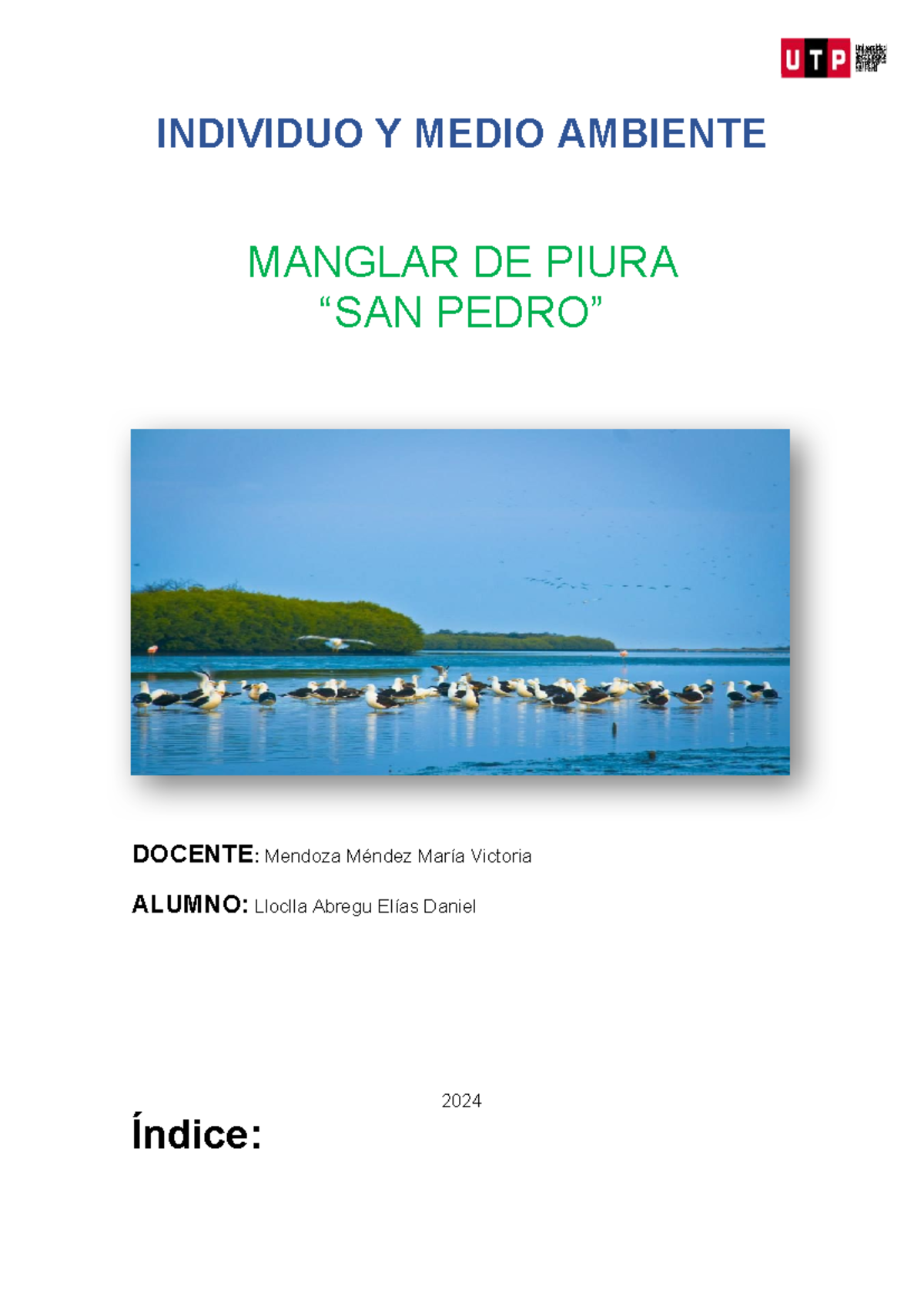Individuo Y Medio Ambiente final - INDIVIDUO Y MEDIO AMBIENTE MANGLAR ...