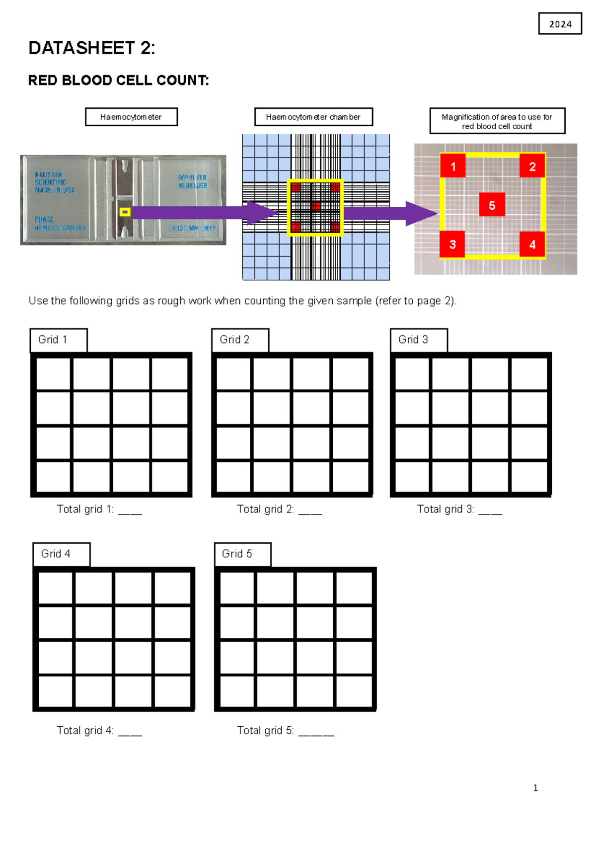 2024 Datasheet 2 RBC Case A - FLG 212 - 1 Total grid 1: ____ Total grid 2: ____ Total grid 3 ...