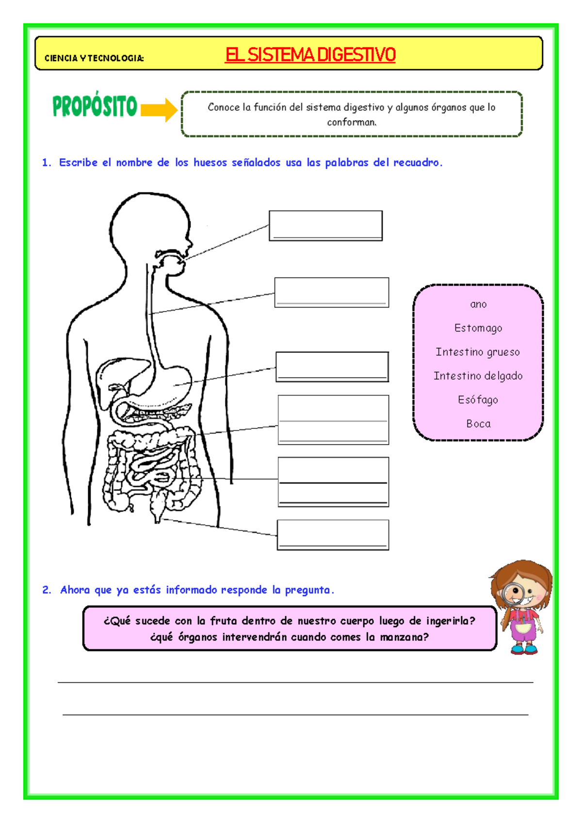 El sistema digestivo - 1. Escribe el nombre de los huesos señalados usa ...