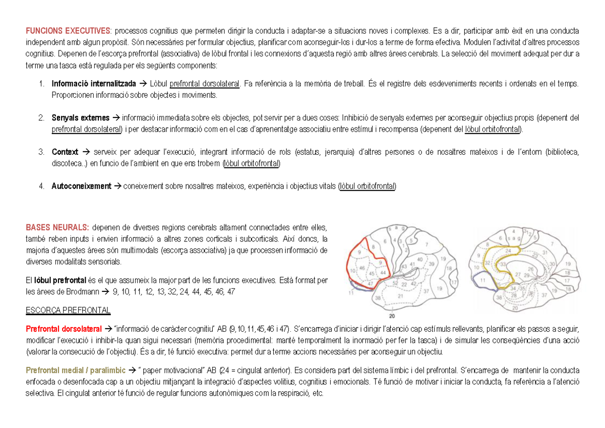 Tema. 10 Funcions executives - FUNCIONS EXECUTIVES: processos cognitius que permeten dirigir la ...
