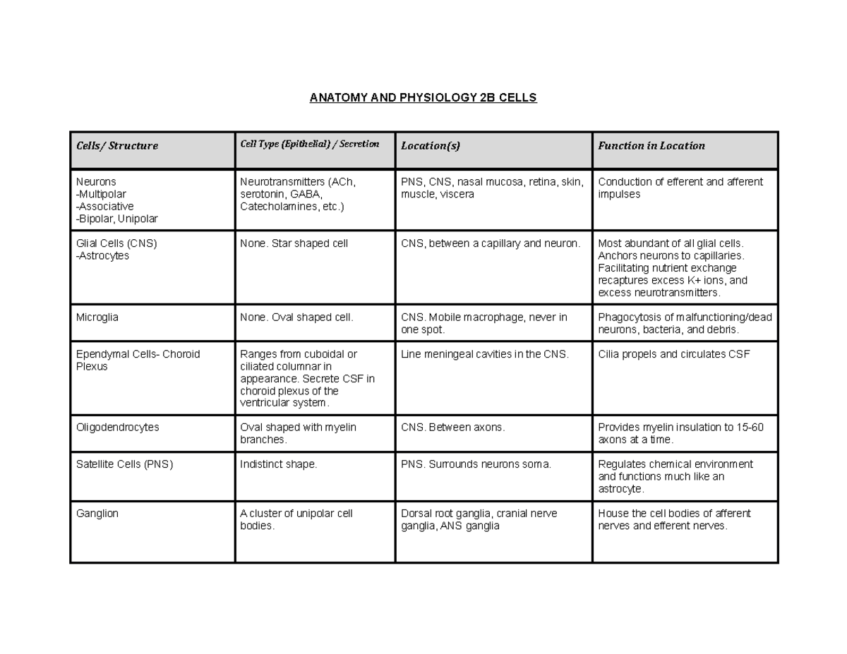 Anatomyandphysiology 2 Bcells 2 - ANATOMY AND PHYSIOLOGY 2B CELLS Cells ...