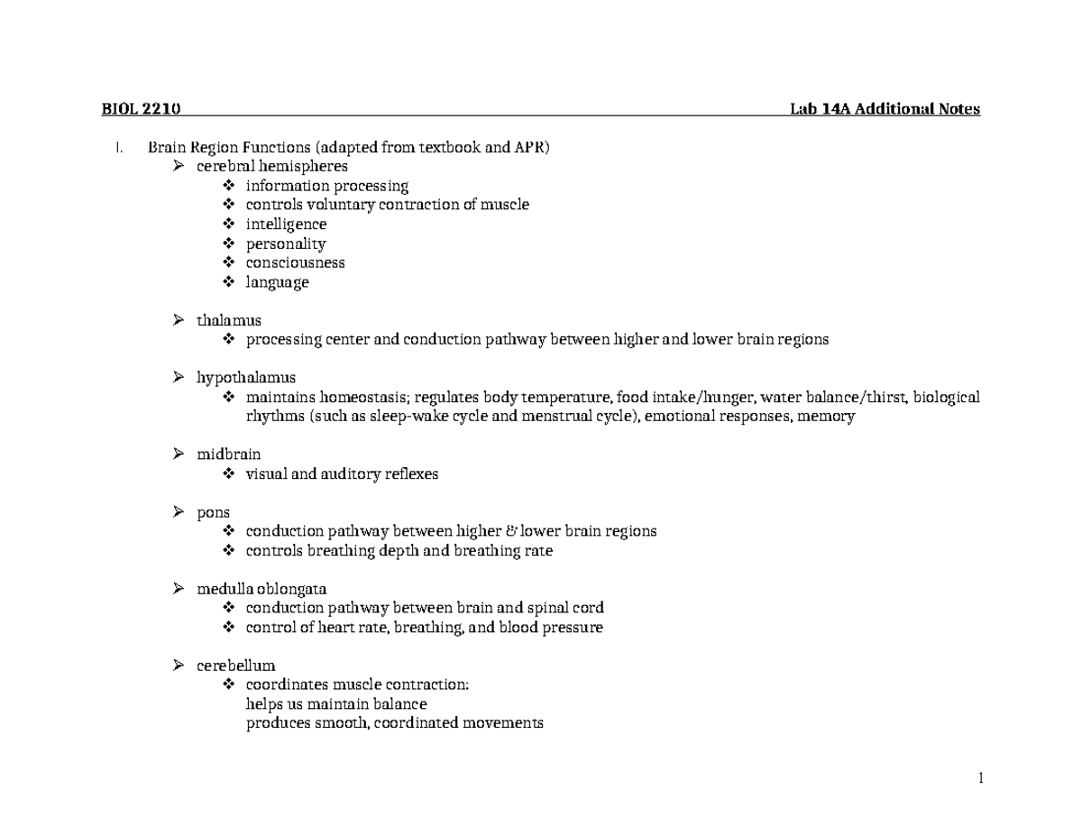 Lab 14A Additional Notes - Brain Region Functions (adapted from ...