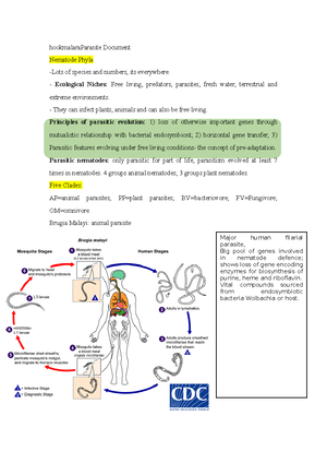 Lecture 8 - Immune responses, innate, adaptive immunity, T cells ...