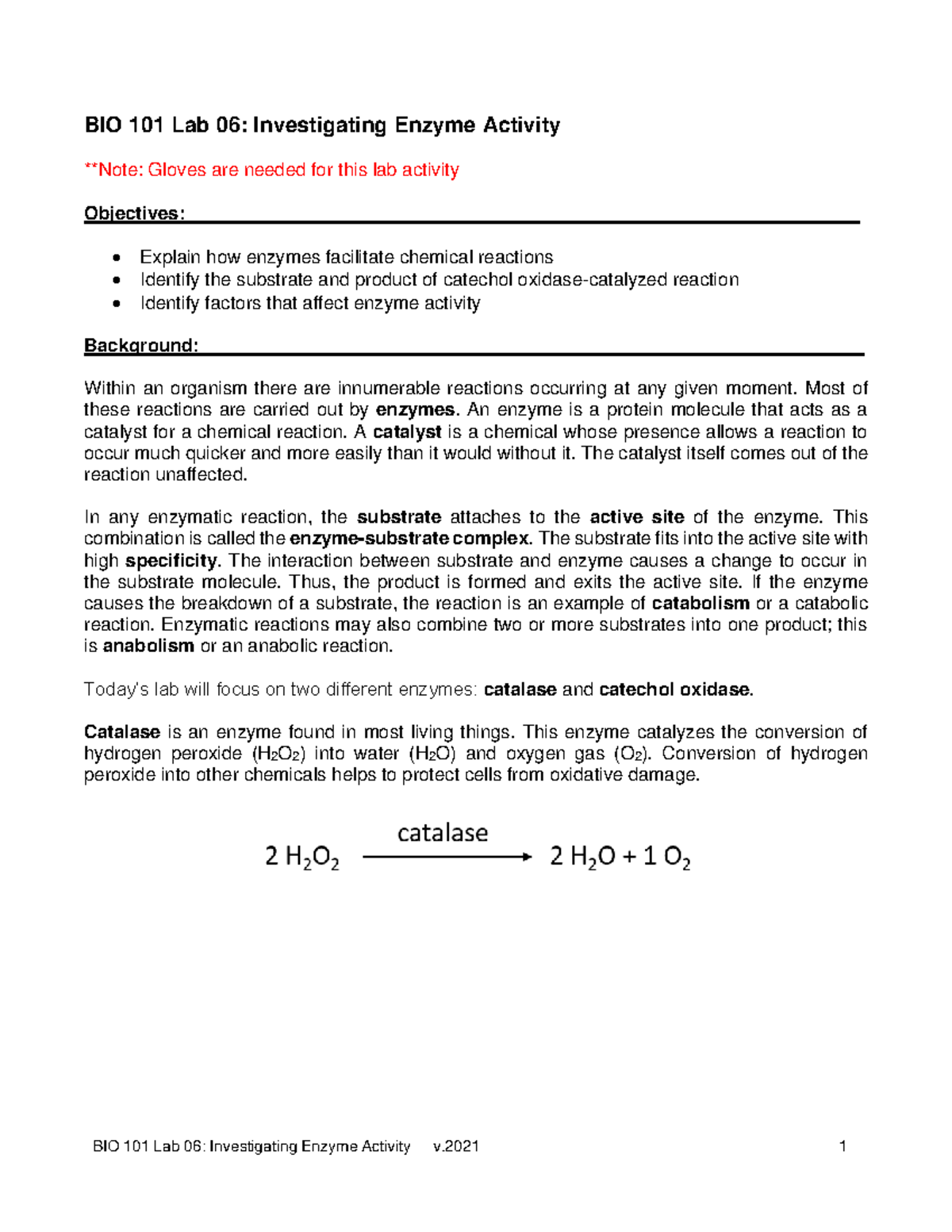 BIO101 Lab 6 Worksheets Enzymes Spring 2022 - BIO 101 Lab 06 ...