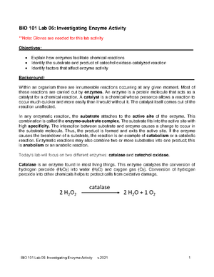 BIO101 Lab 11 Worksheets Evolution and Natural Selection Spring 2022 ...