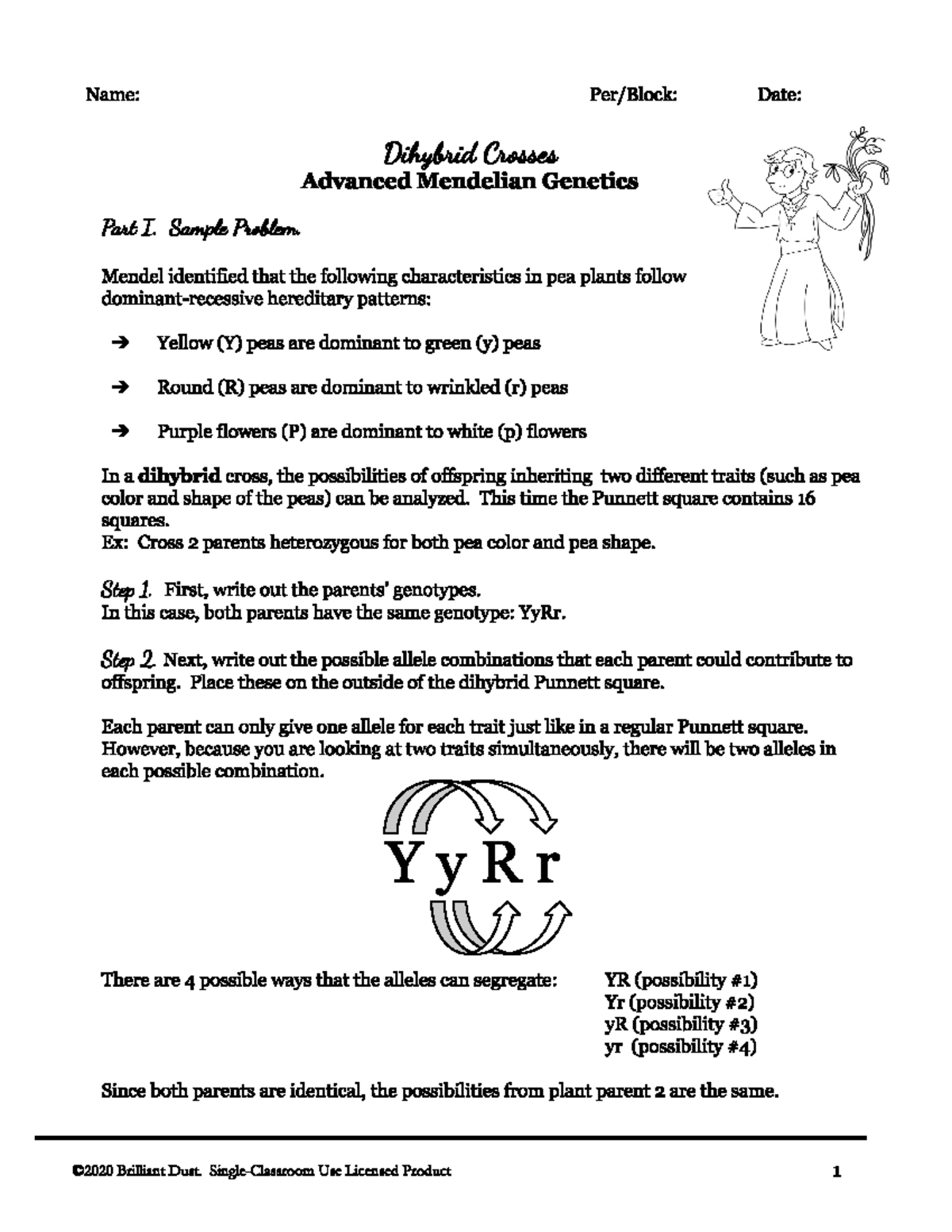 Brian Moore - Dihybrid Cross Practice - Name: Date: Dihybrid Crosses ...