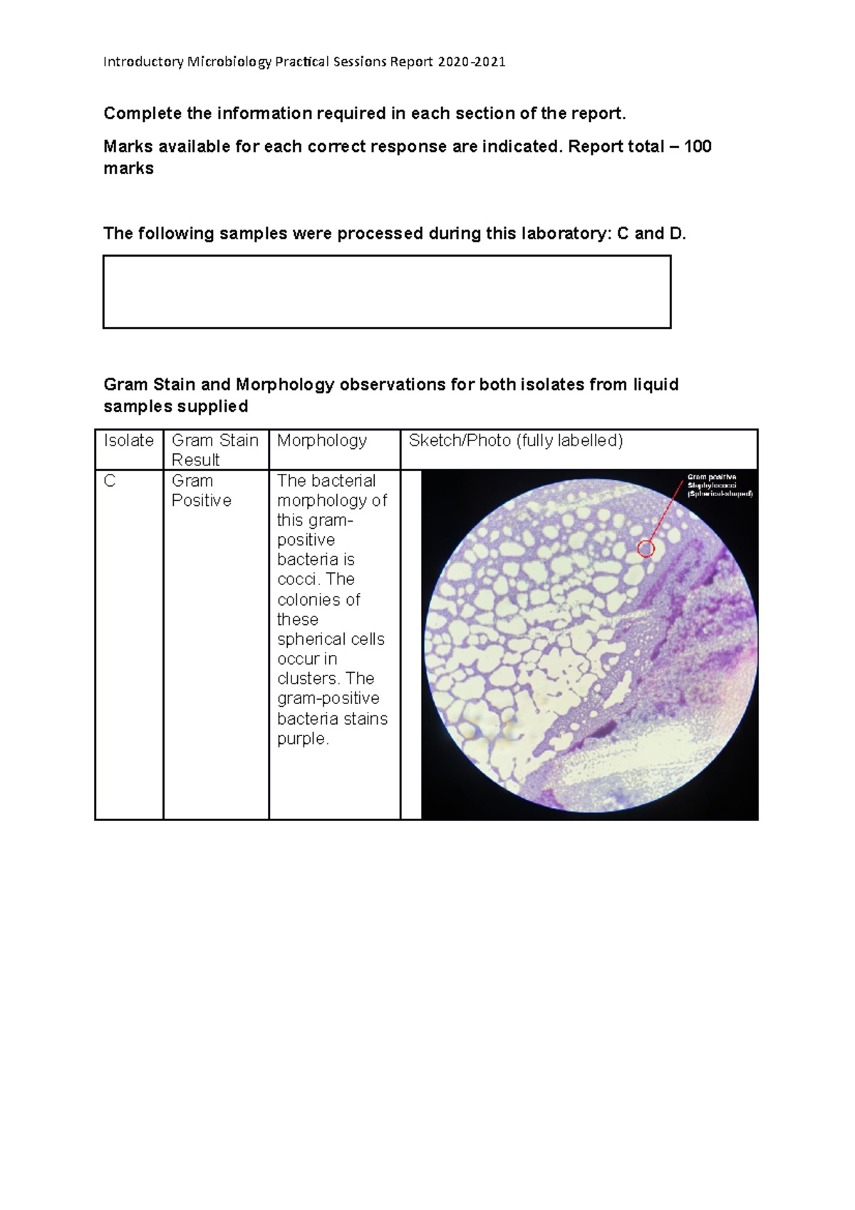 Lab Book template - Lab Book - BIOL08004 - UWS - Studocu