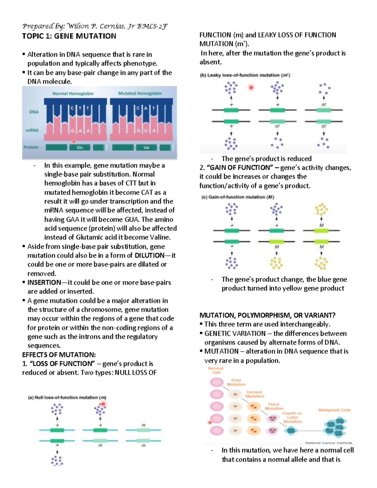 Gene Mutation Lecture Notes Topic 1 Gene Mutation Alteration In Dna
