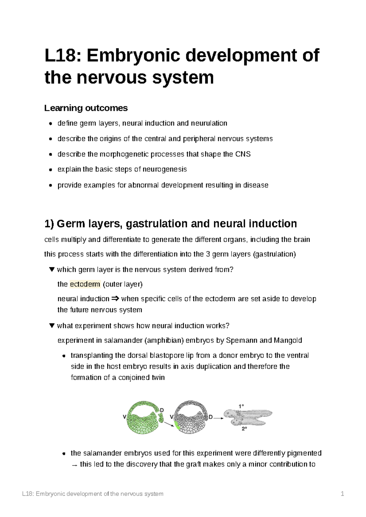 Lecture 18 - Embryonic development of the nervous system, detailed ...