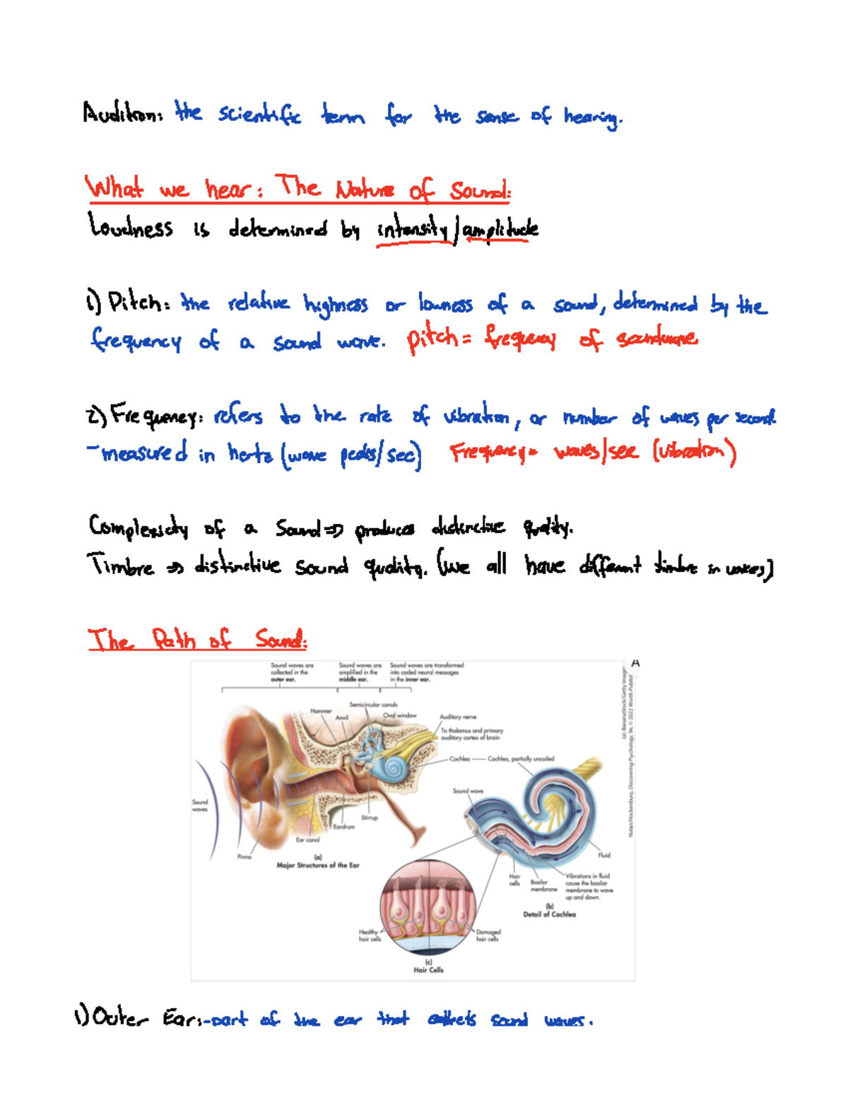 3.3 Hearing From Vibration to Sound - Audition the scientific term for ...