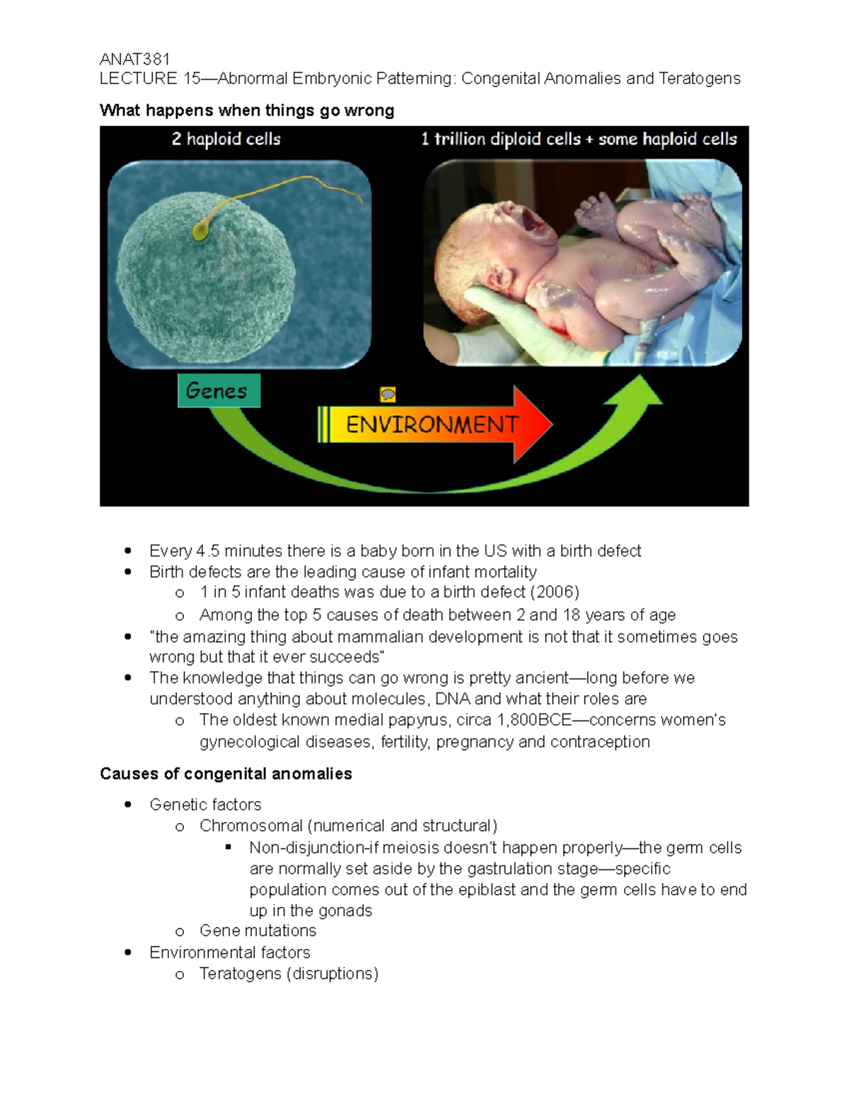 15 lecture dr ryan - LECTURE 15—Abnormal Embryonic Patterning ...