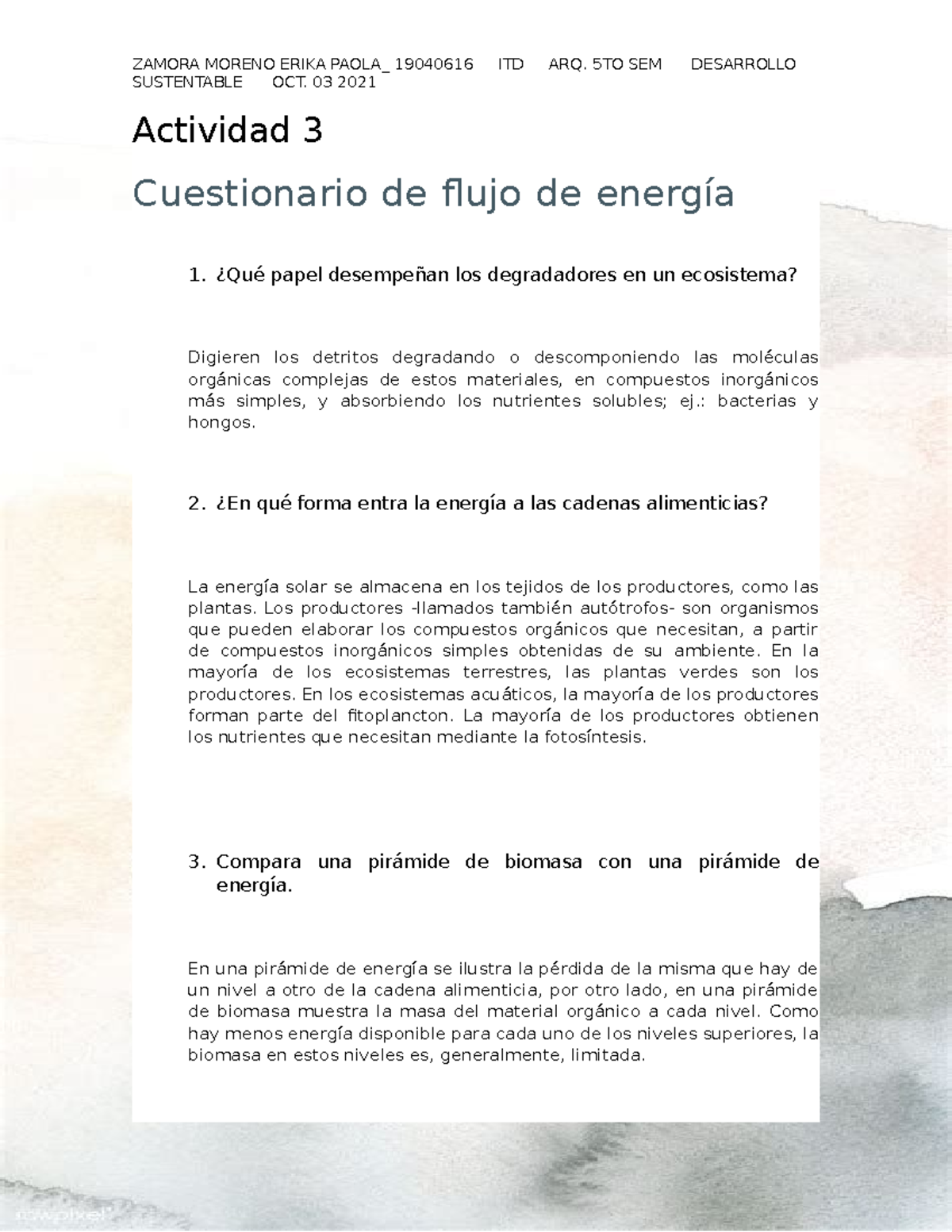 Tarea 3. Cuestionario de Flujo de energía 19040616 - SUSTENTABLE OCT ...
