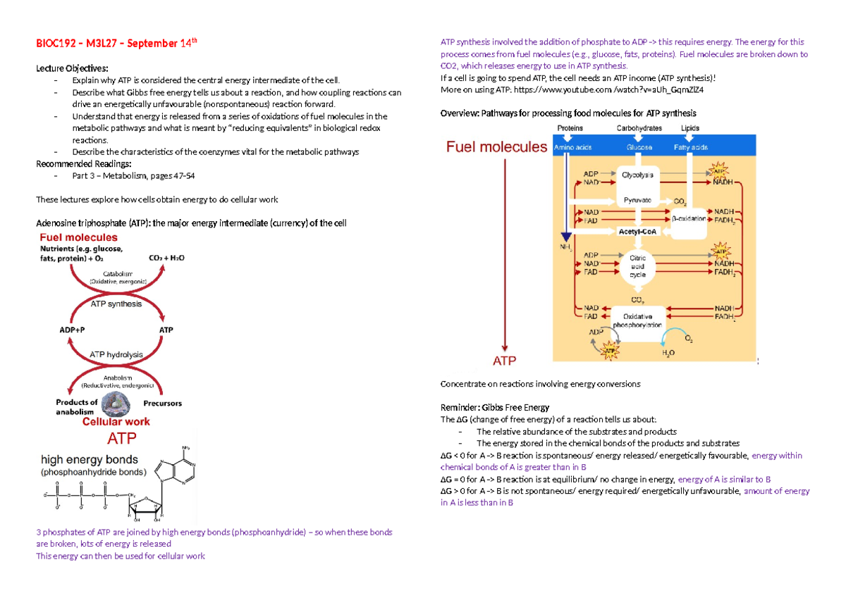 BIOC192 S2 20230914 Dnila 1 224353 - BIOC192 – M3L27 – September 14th Lecture Objectives ...