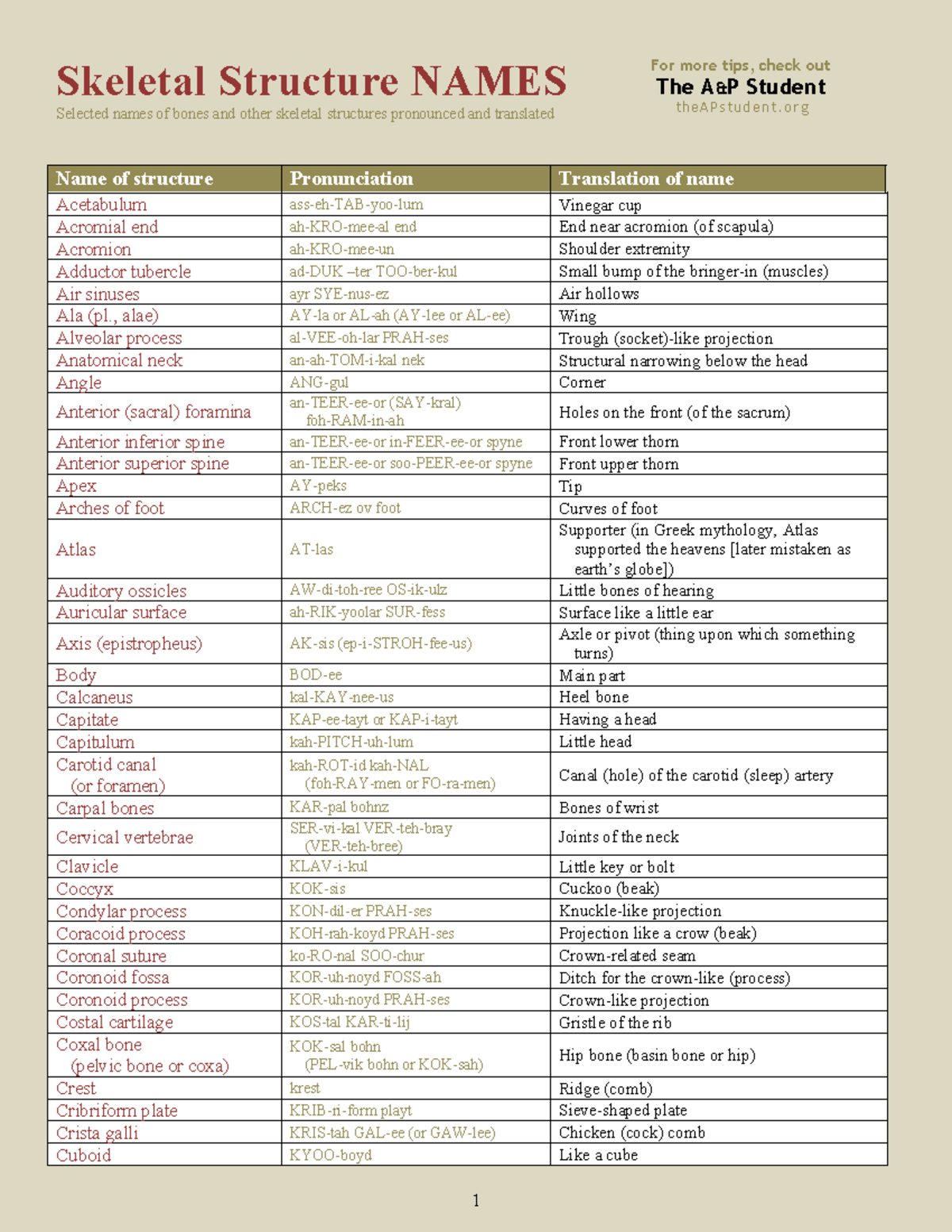 Bone name table Kpatton - Skeletal Structure NAMES Selected names of ...