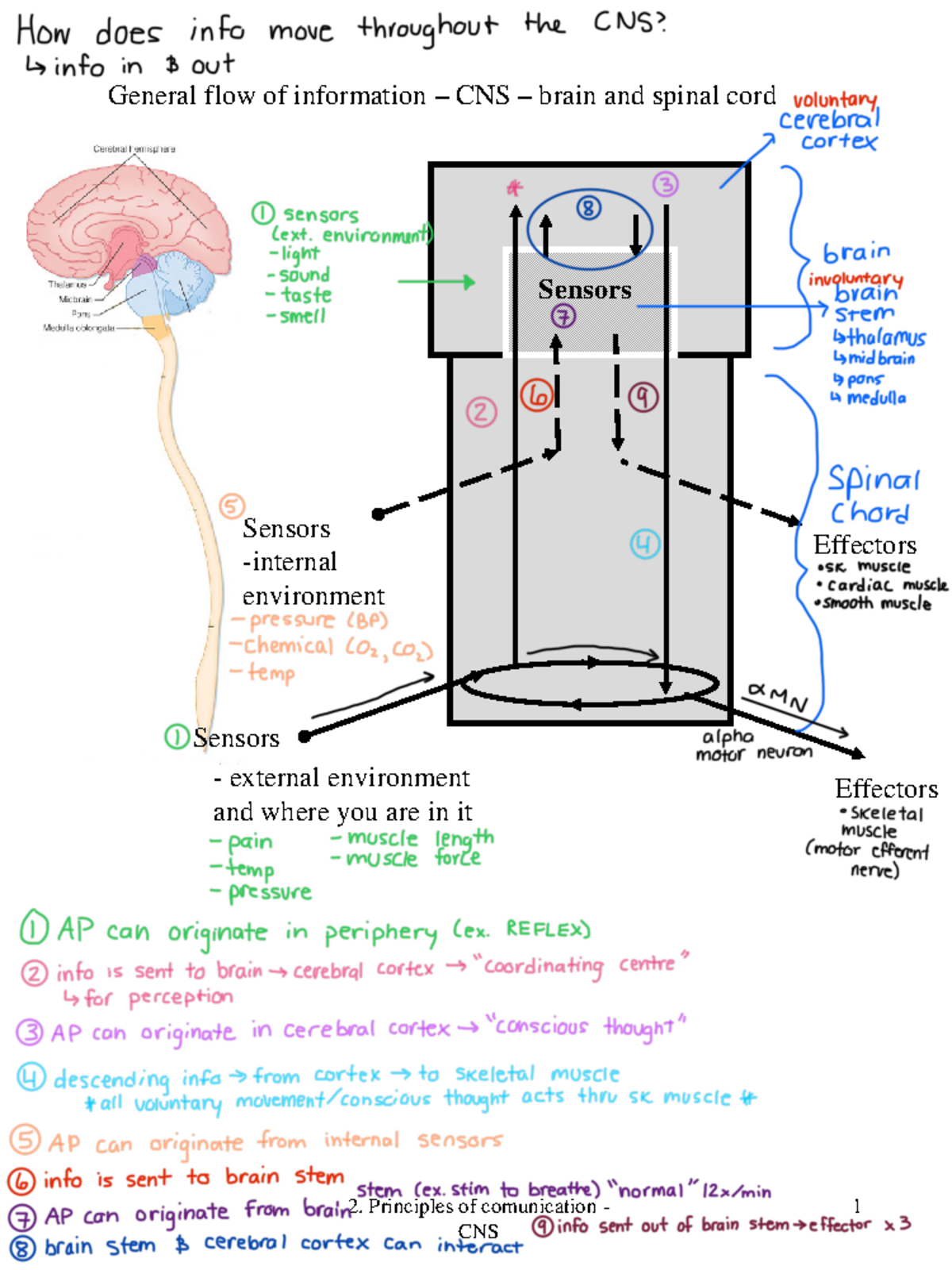 Unit 2 Lecture Notes - Principles of comunication - 1 General flow of ...
