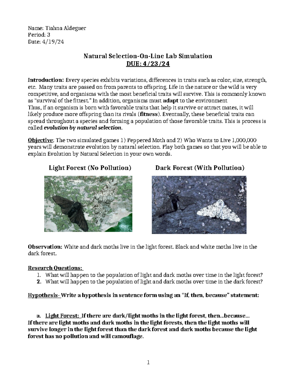 The unit Natural Selection Lab half white moths half black moths in the ...