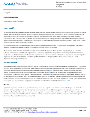Rx torax tipos de enfisema - Radiografía de tórax en el diagnóstico de ...