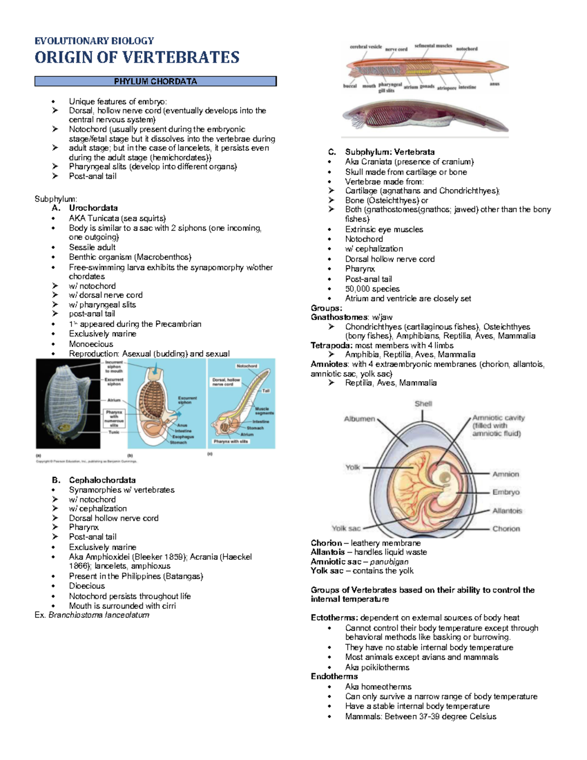 LEC 17 Origin OF Vertebrates - EVOLUTIONARY BIOLOGY ORIGIN OF ...