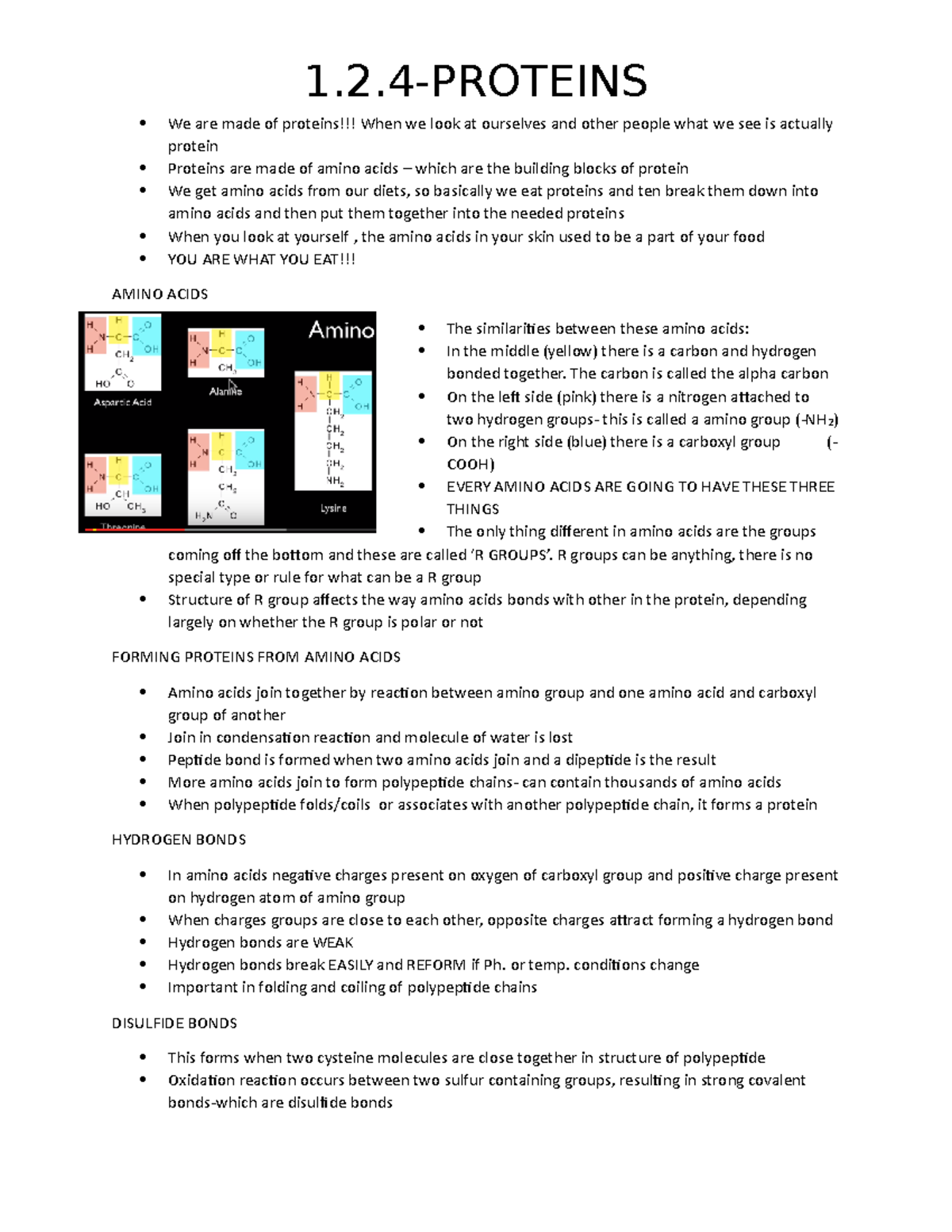 Proteins summary - 1.2-PROTEINS We are made of proteins!!! When we look ...