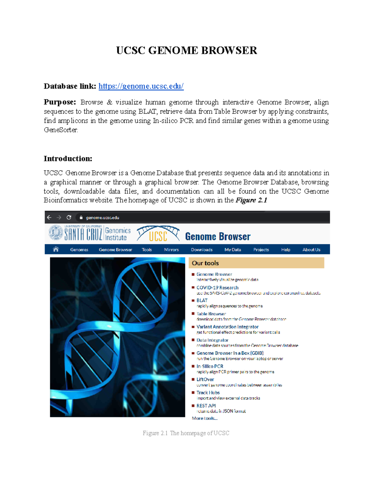 Introduction to UCSC Genome Browser (Tutorial) - UCSC GENOME BROWSER Database link: genome ...
