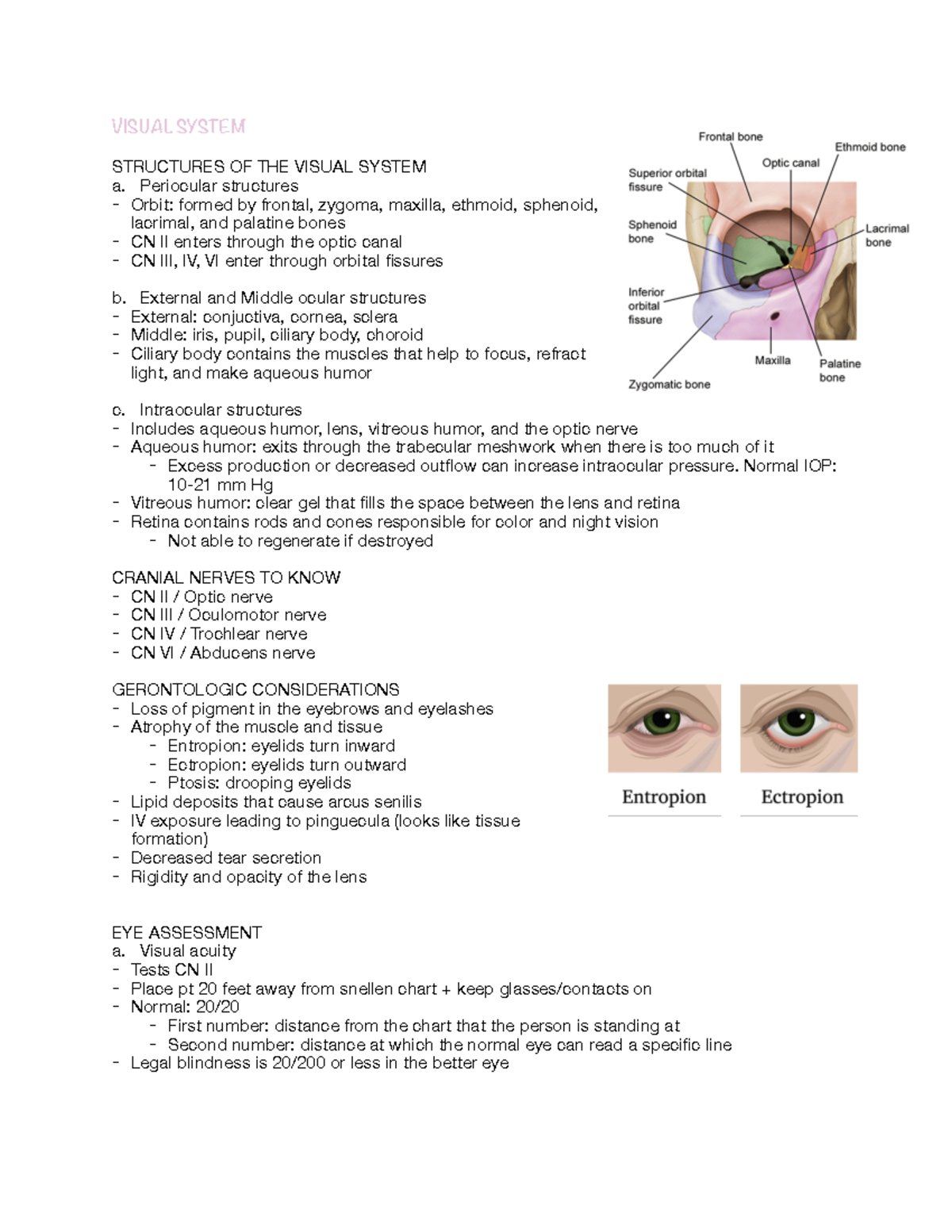 Sensory MS2 W8 - see file - VISUAL SYSTEM STRUCTURES OF THE VISUAL ...