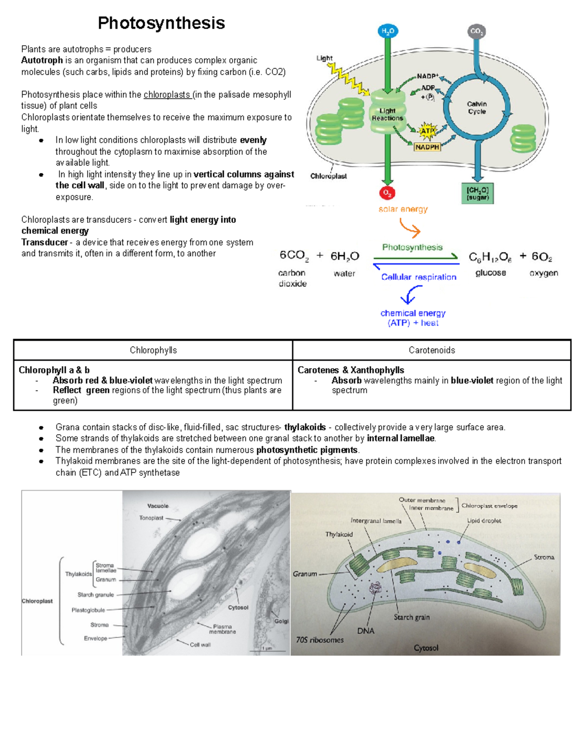 WJEC Unit 3 Photosynthesis - Studocu