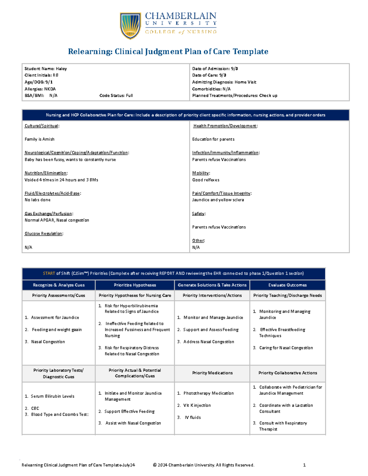 RB Care Plan- OB - Care plan - Student Name: Haley Client Ini 2 als: RB ...
