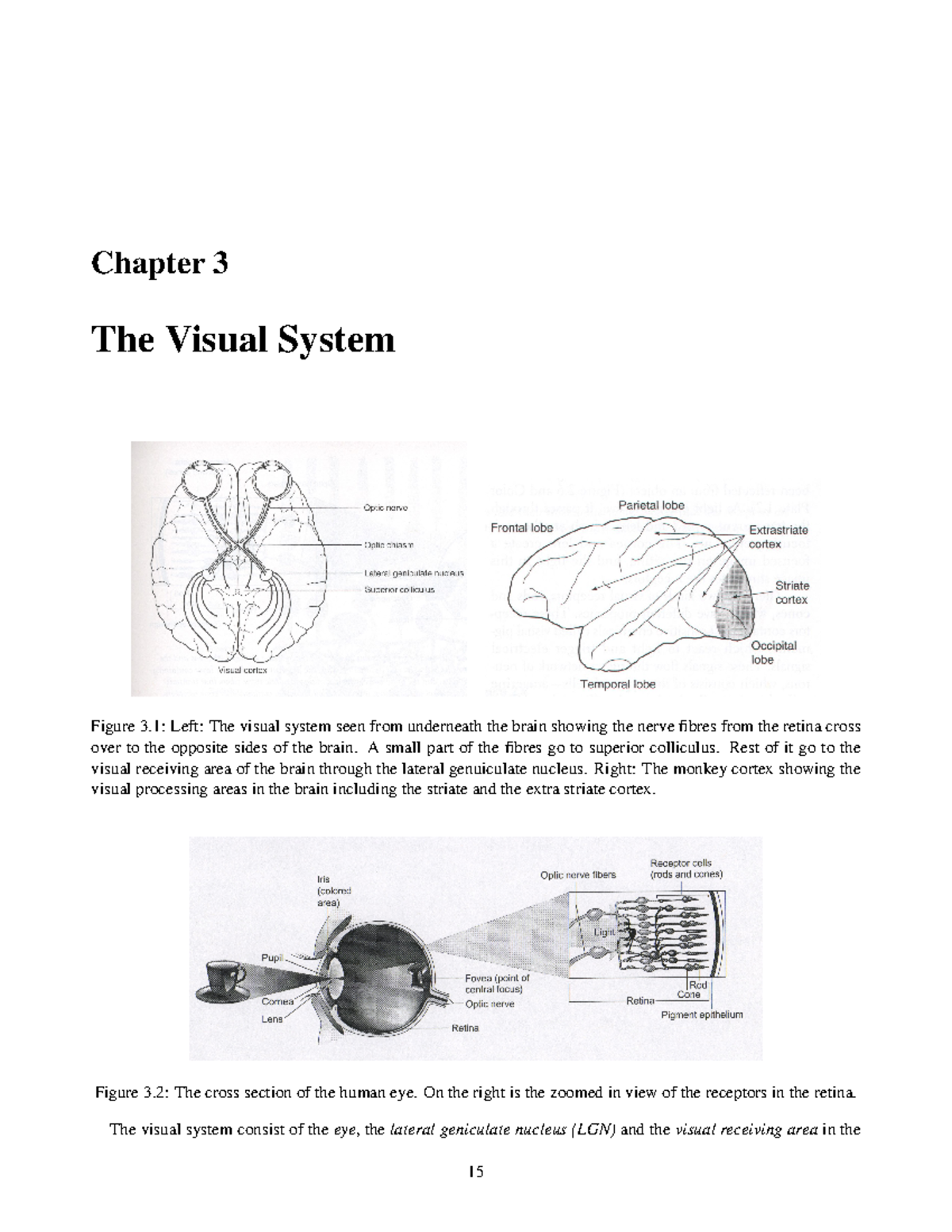 psychology visual system - Chapter 3 The Visual System Figure 3: Left ...