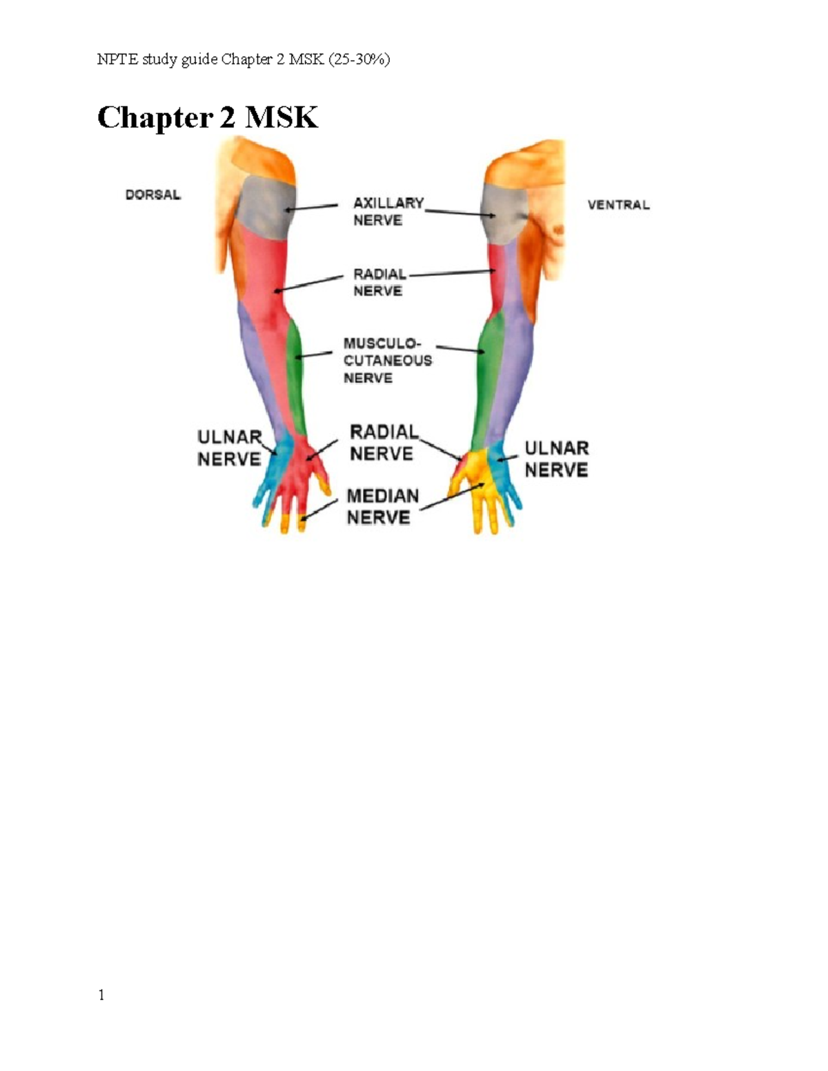 MSK - NPTE MSK study guide - Chapter 2 MSK Better quality and better ...