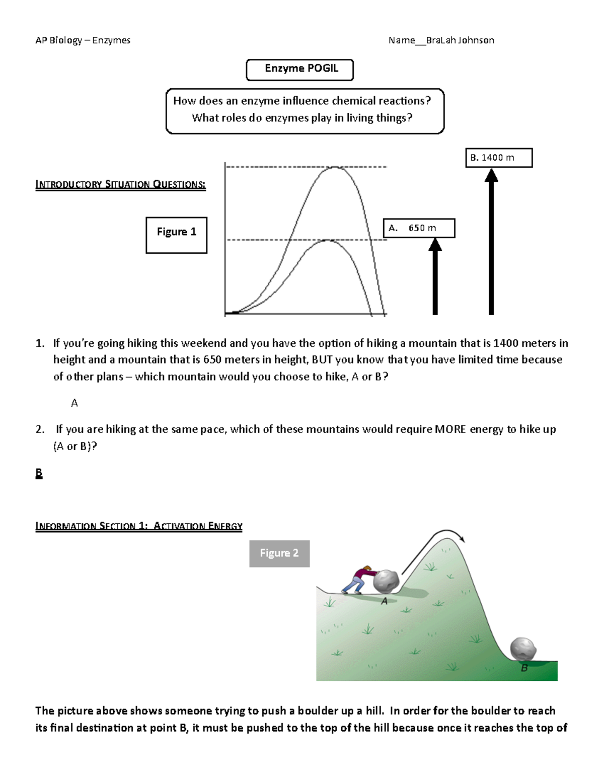 Enzyme Pogil Notesquest 2 - Enzyme POGIL How does an enzyme influence ...