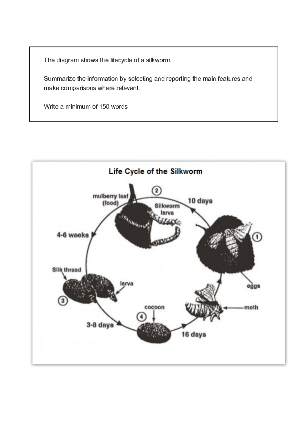 Task 1 Cycle Silkworm - Task 1 IELTS process - Selda, Inglese - The ...