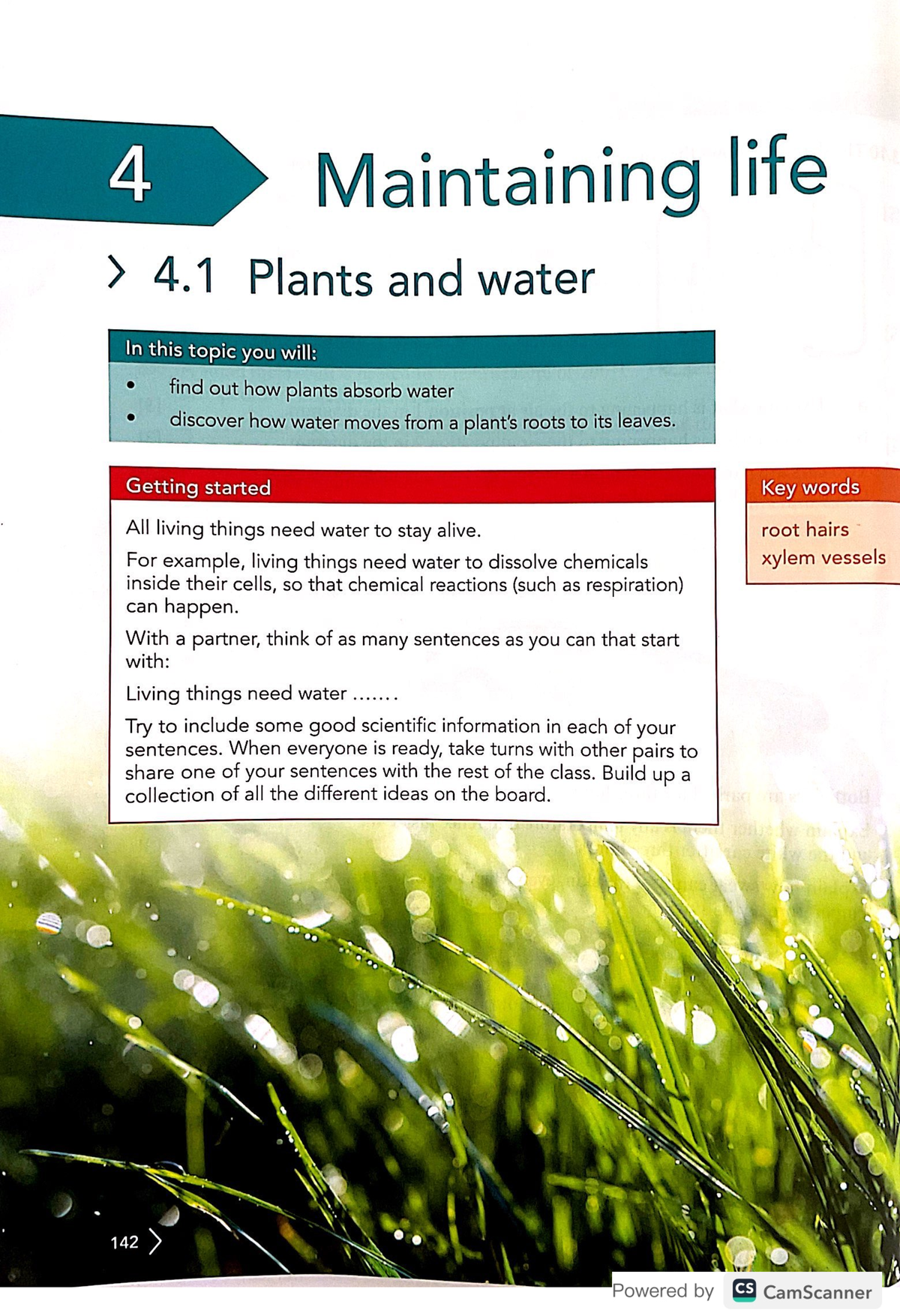 Chapter 4 Science Y9 - Computer Science - Studocu