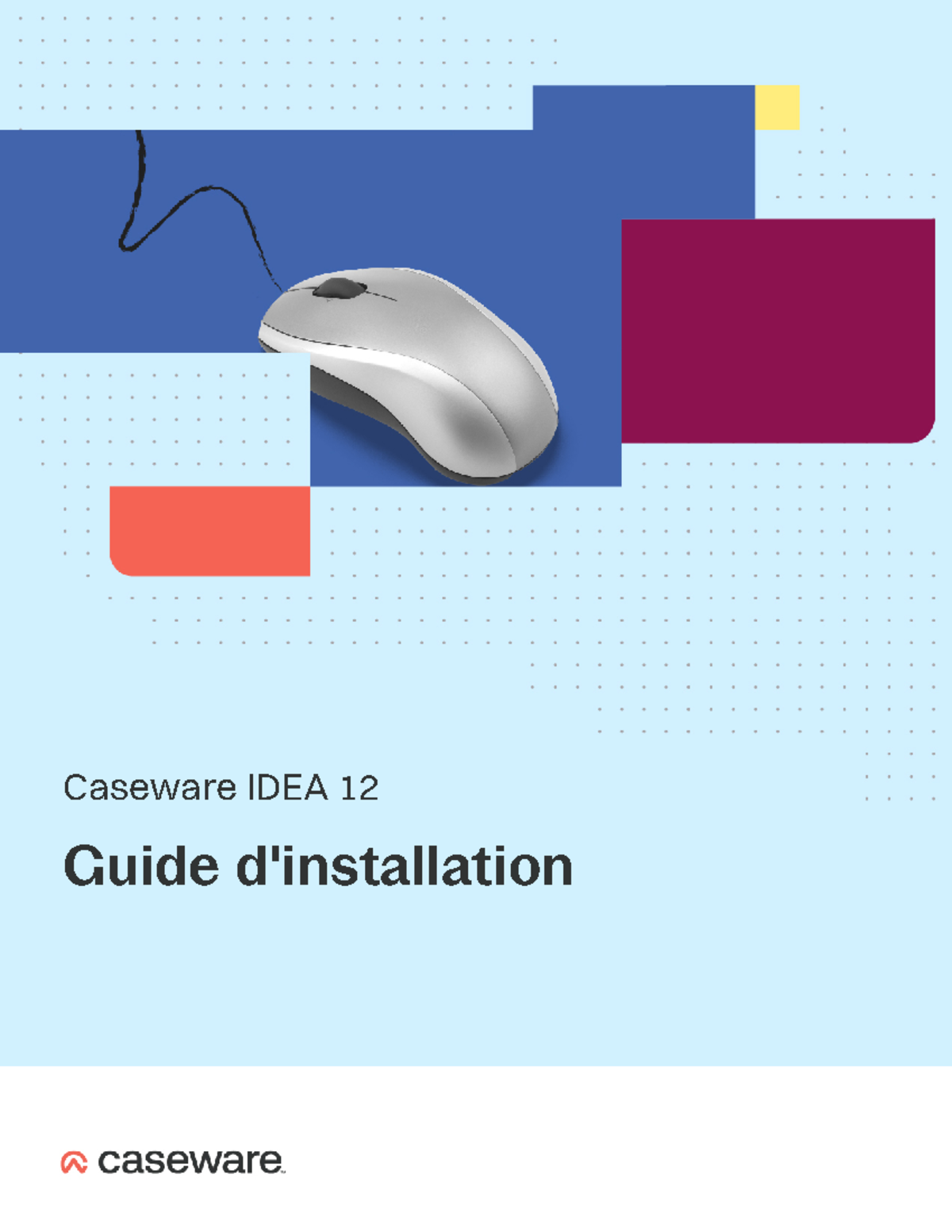 IDEA Installation Guide - Caseware IDEA 12 Guide d'installation ...