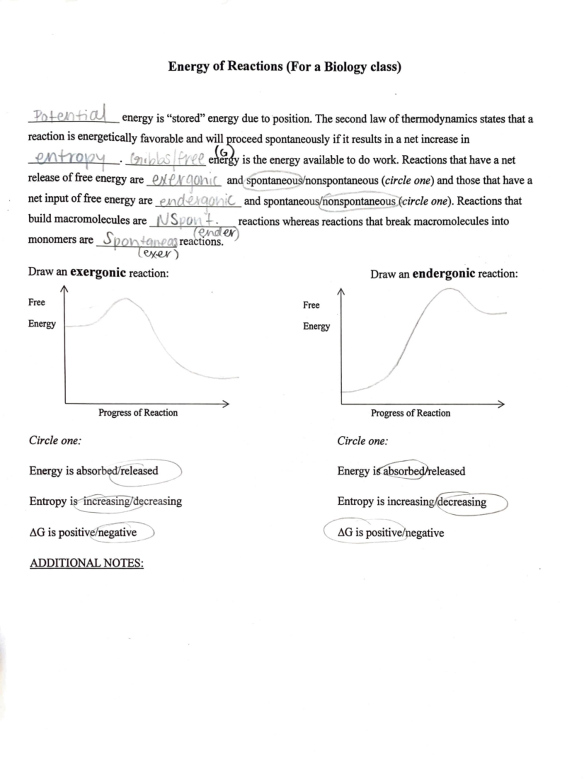 Functional Bio Notes - Energy of Reactions (For a Biology class) lio-l ...