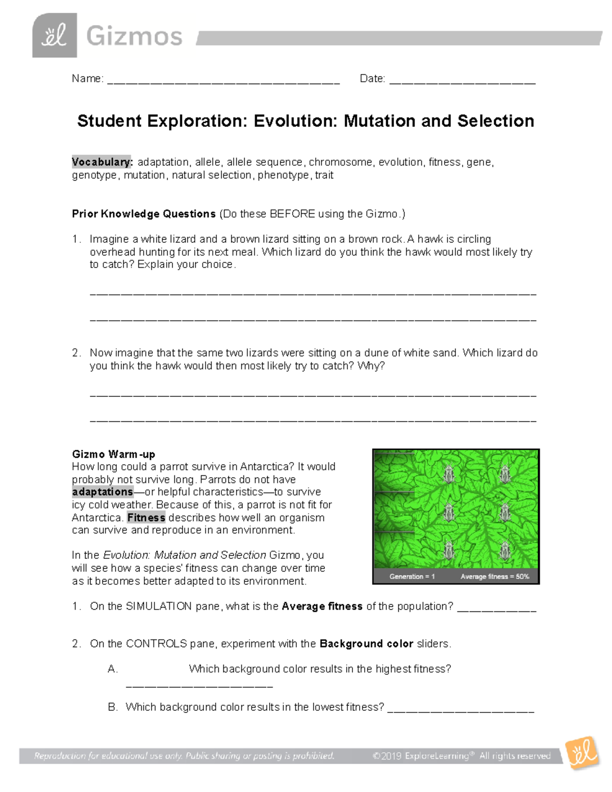 Evolution Mutation Selection SE 2 - Name ...