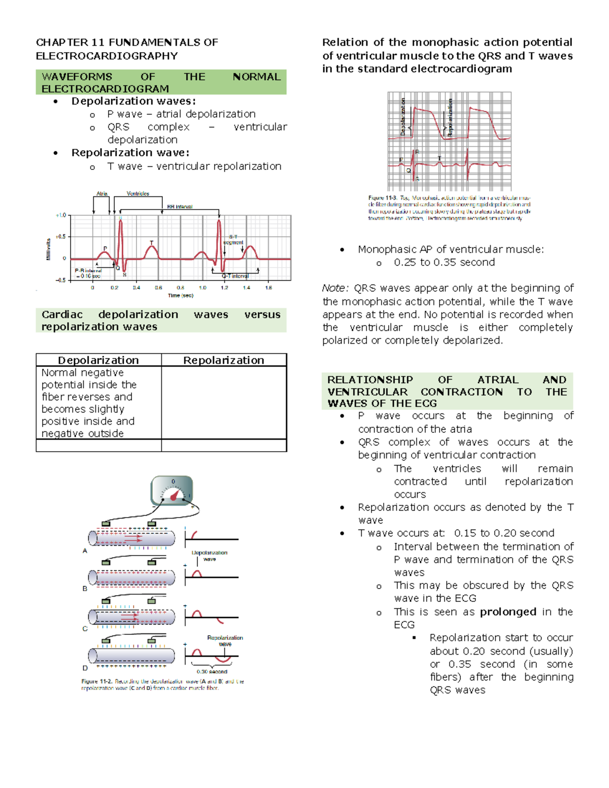 Summary-Chapter-11 - CHAPTER 11 FUNDAMENTALS OF ELECTROCARDIOGRAPHY ...