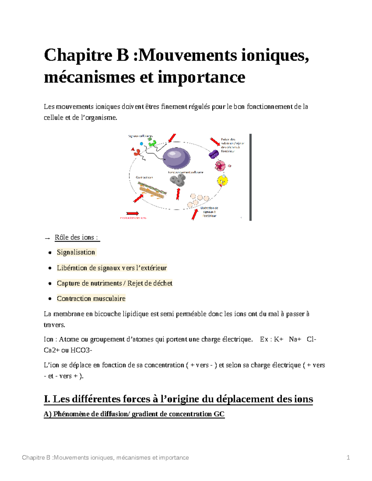 Chapitre B Mouvements ioniques mcanismes et importance - Chapitre B ...