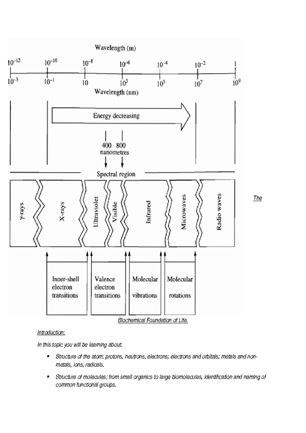 Spectroscopy - The Biochemical Foundation of Life. Introduction: In ...