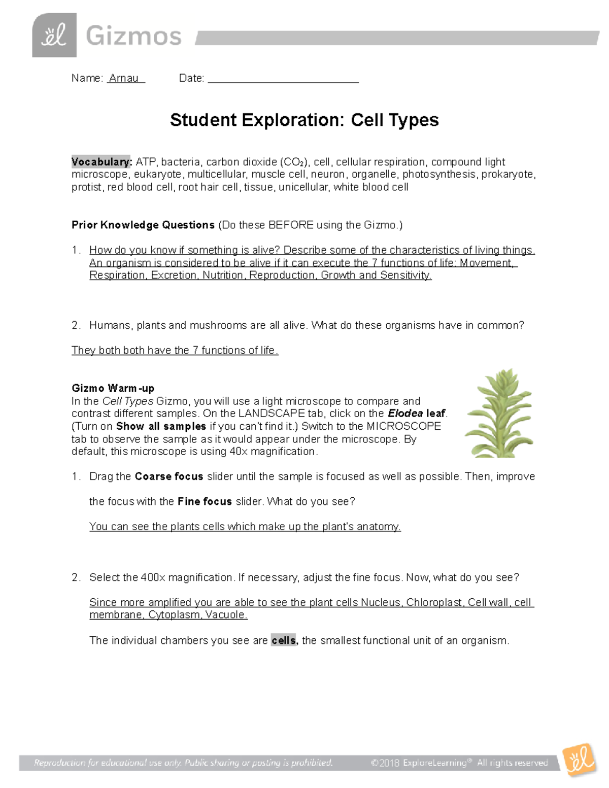 Cell Types SE - Stuff - Name: Arnau Date: Student Exploration: Cell ...