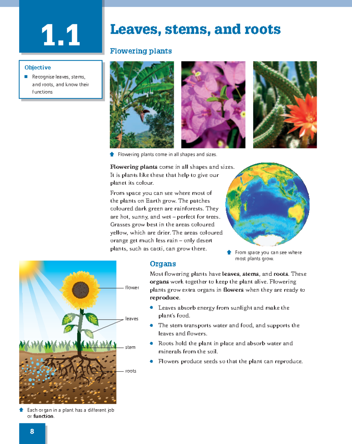 Complete Biology for Cambridge Secondary 1 Optimized 10 - 1. Objective ...