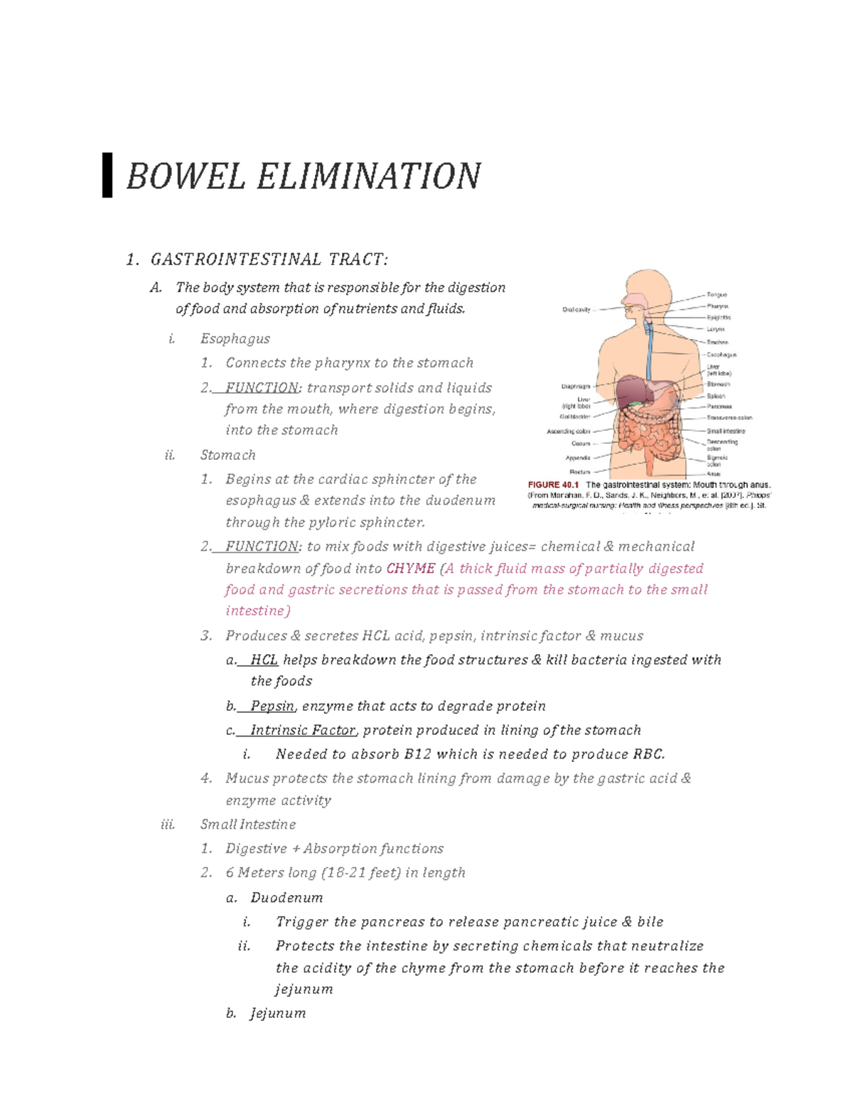 Study Guide Bowel Elimination - BOWEL ELIMINATION 1. GASTROINTESTINAL ...