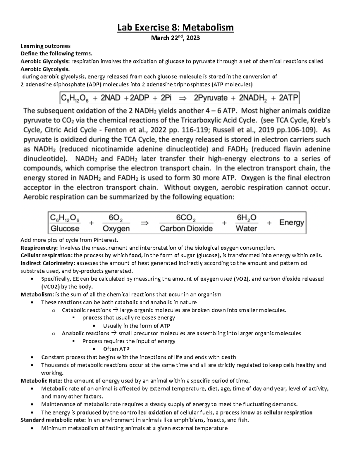 Metabolism - bio 224 - everything you need for bio 224.3 lab - Lab ...
