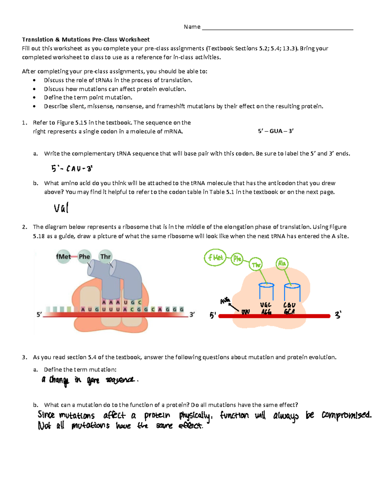 Translation and mutation - Name ...