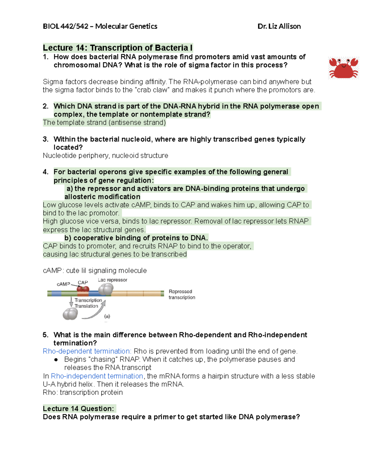 Genetics E2 (Study guide) - BIOL 442/542 – Molecular Genetics Dr. Liz ...