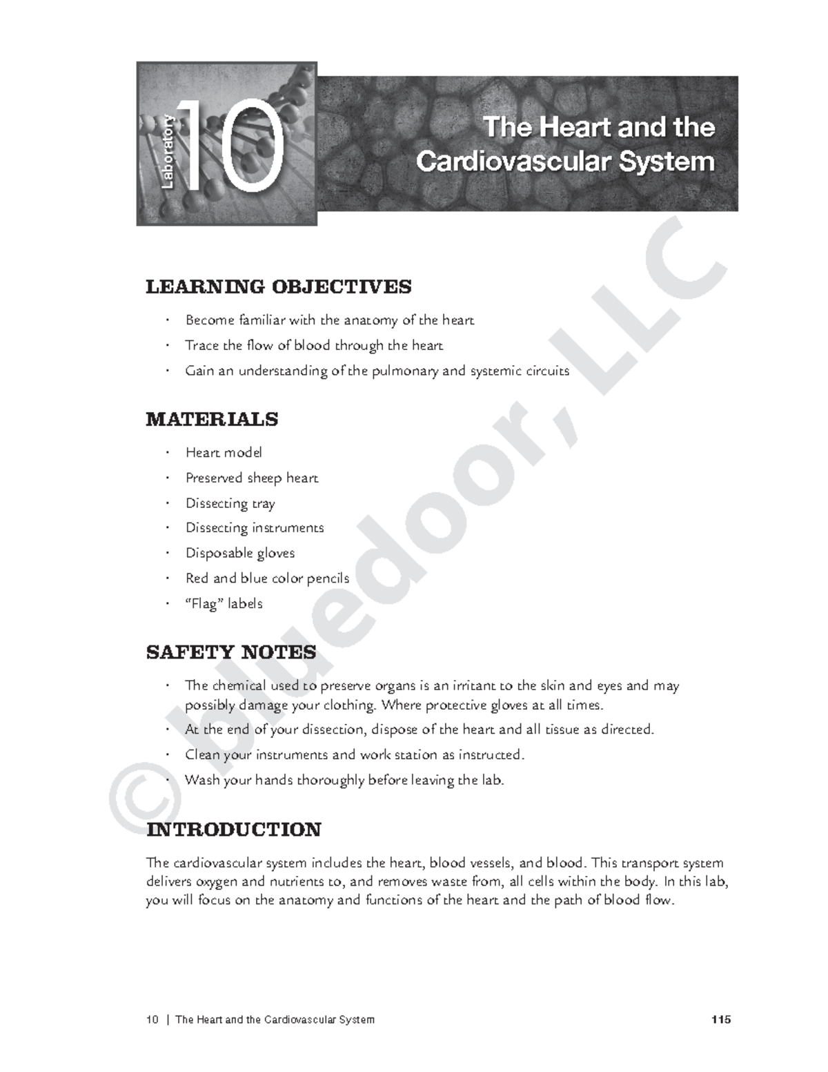 Biol 189L Lab 8 Manual Chapter - 10 | The Heart and the Cardiovascular ...