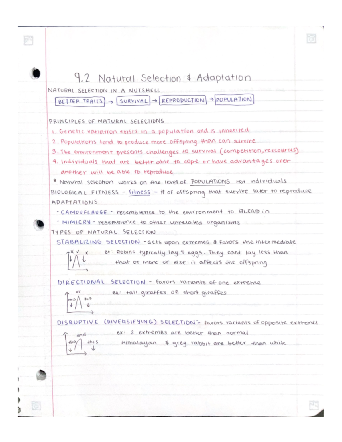 Natural Selection Notes - Studocu