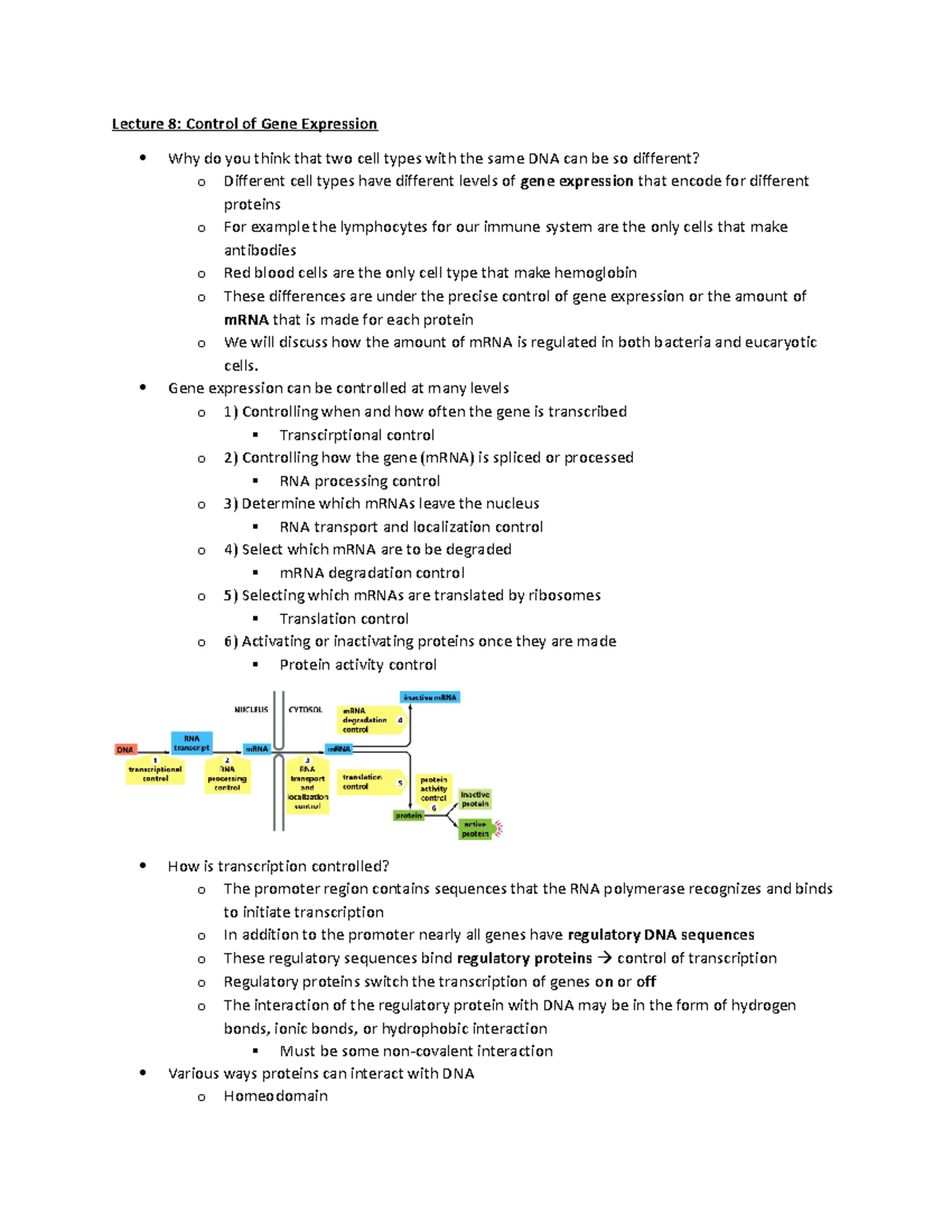 Lecture 8 Control of Gene Expression - Lecture 8: Control of Gene Expression Why do you think ...
