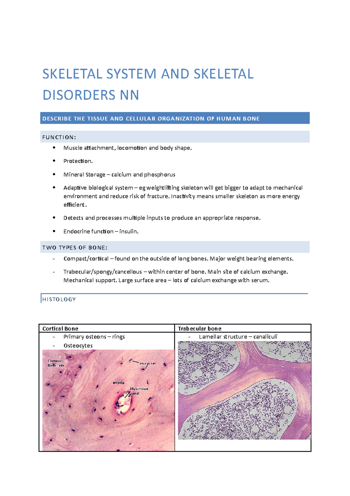 Skeletal System and Skeletal Disorders - SKELETAL SYSTEM AND SKELETAL ...